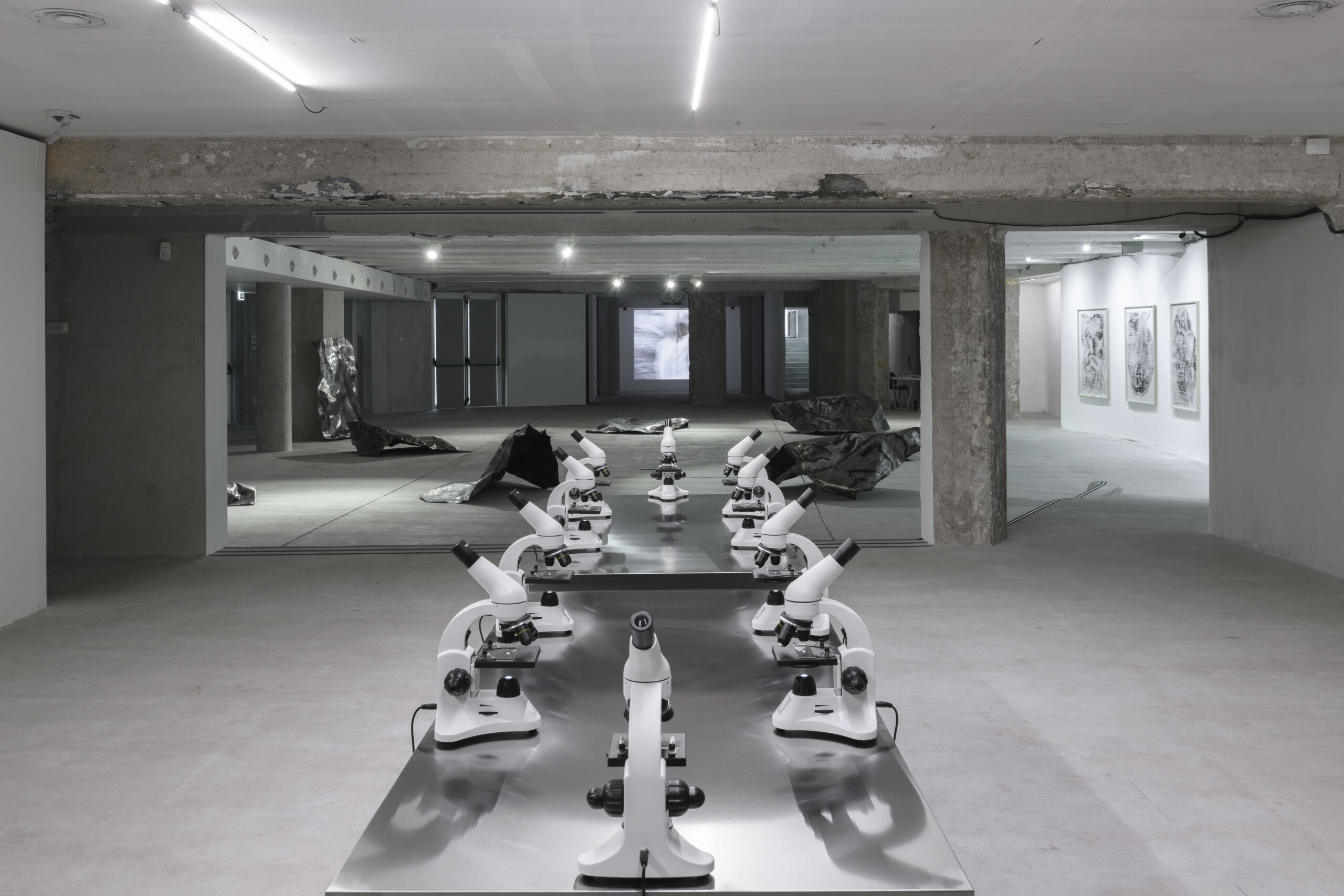 The exhibition “Megalomanie” by Canemorto, the matter in fragments ...